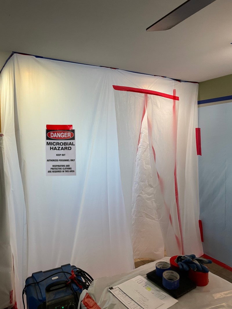 The Residential Mold Removal Process - Bluestone Environmental